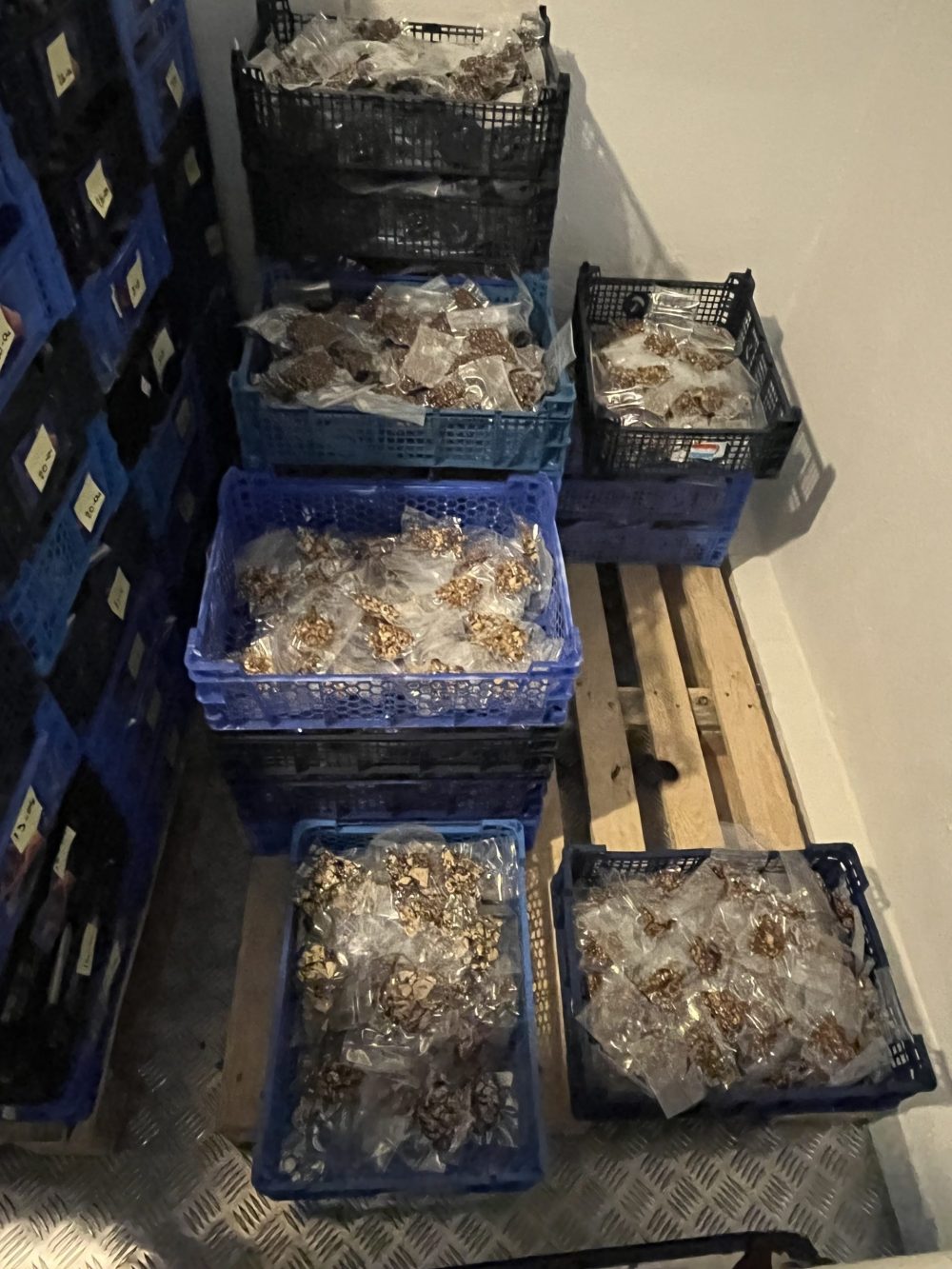 What is microdosing? How it works | GO Microdose