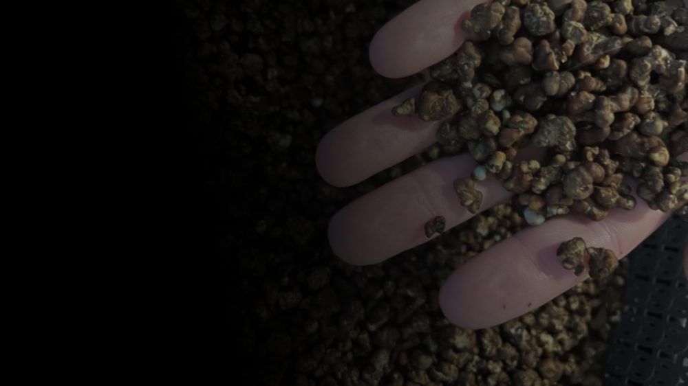 Ons verhaal • GO Microdose