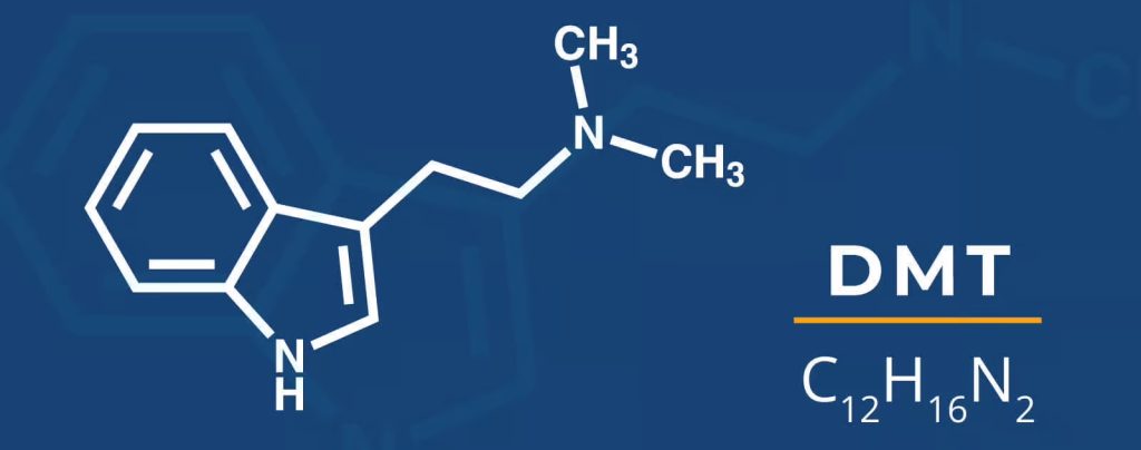 The world’s most mysterious psychedelic is already inside your brain ...